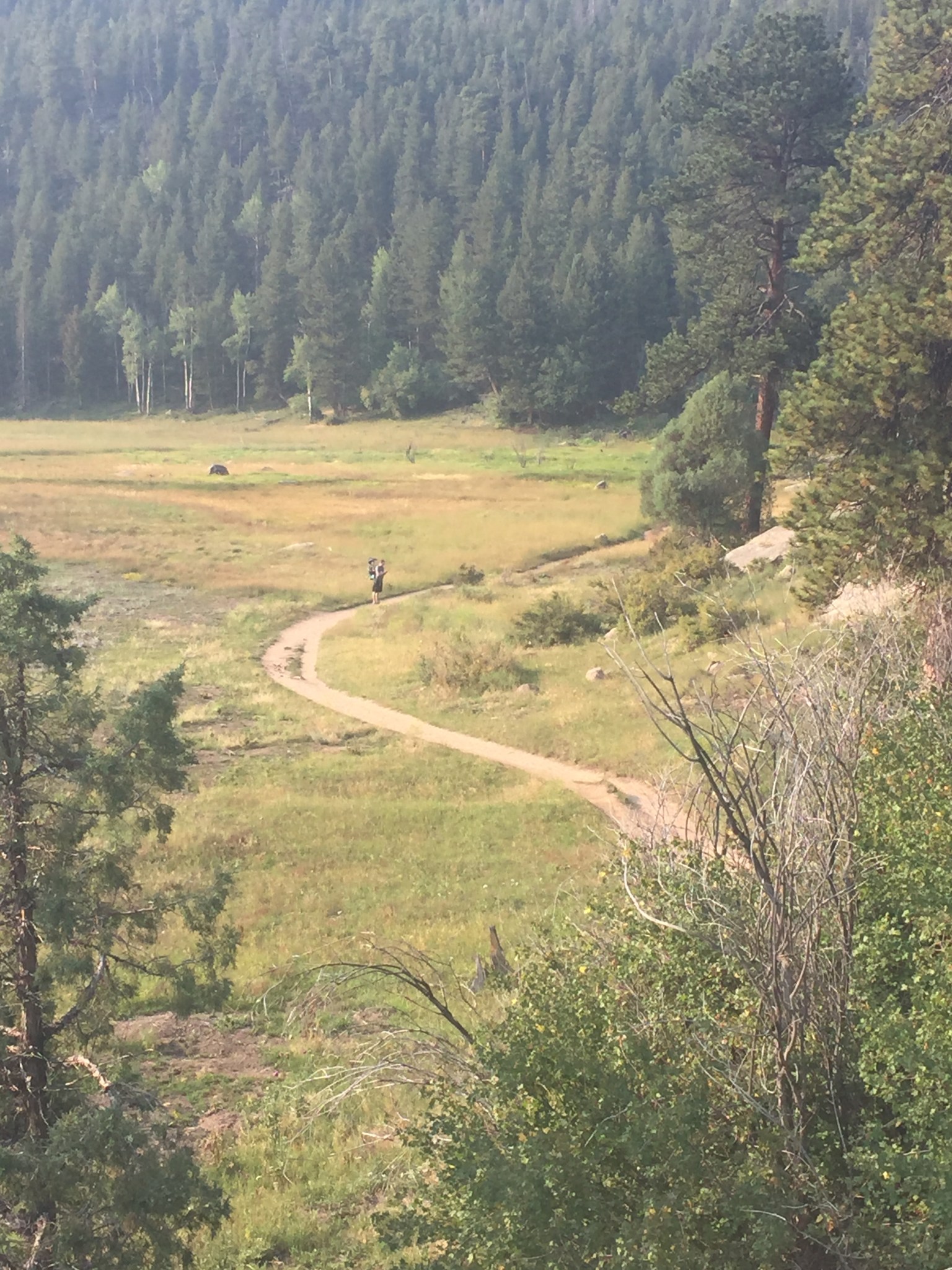 Cub Lake Trail – a Wildlife Hotspot in Rocky Mountain National Park ...