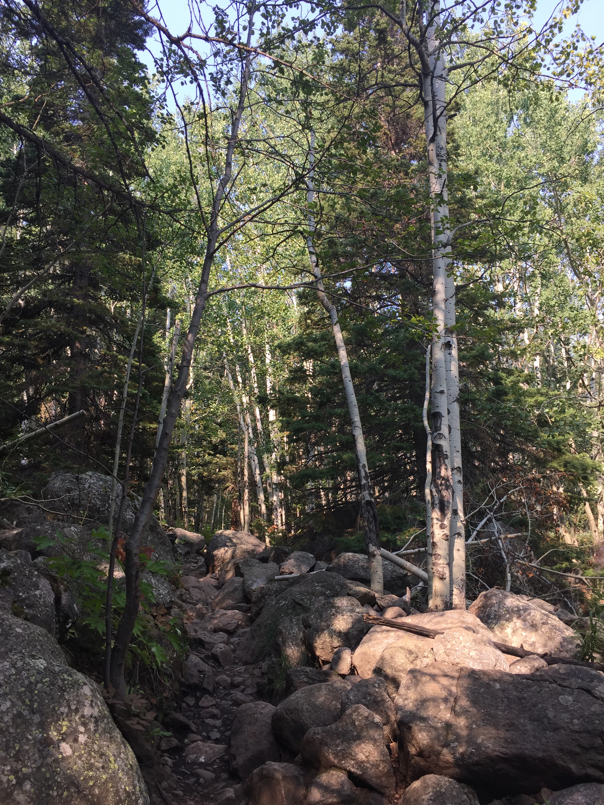 Cub Lake Trail – a Wildlife Hotspot in Rocky Mountain National Park ...