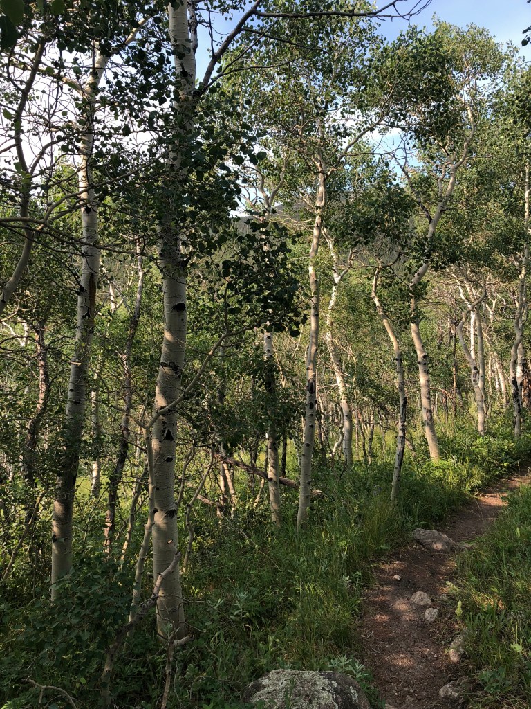 Sweeping Mountain Views and Waterfalls – Our New Favorite Hike in Rocky ...