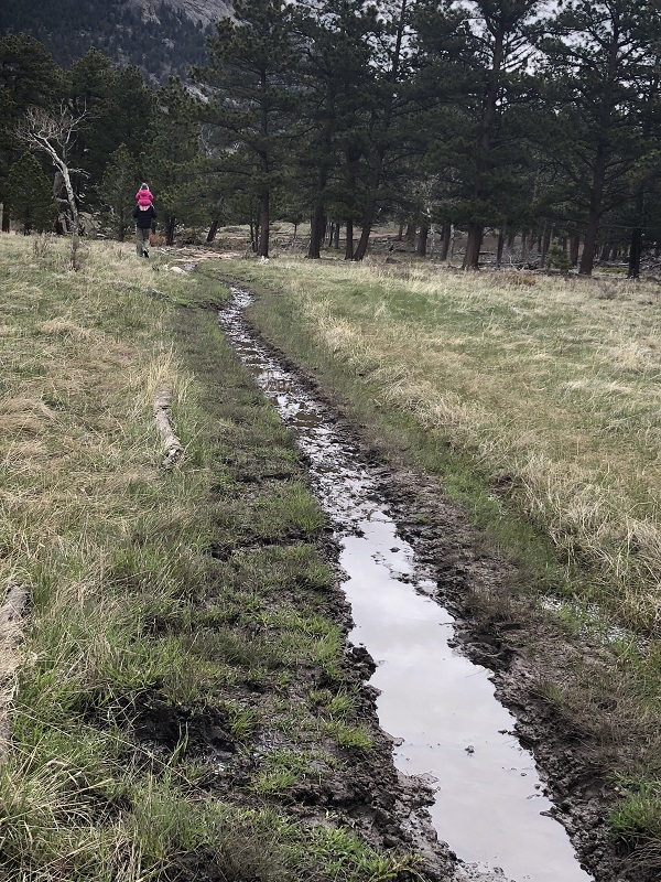 Spring Hiking in Rocky Mountain National Park: Upper Beaver Meadows – rocky mountain tot