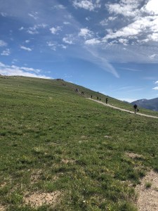 Alpine Ridge Trail – rocky mountain tot
