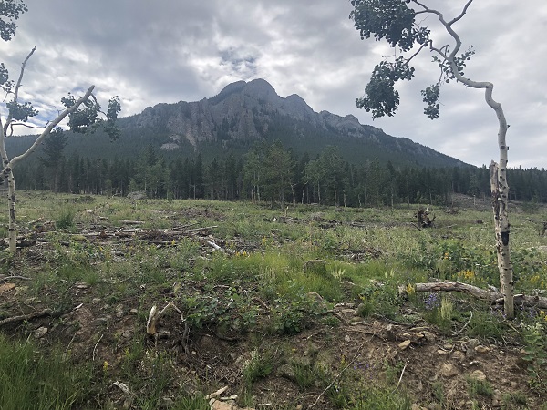 Homer Rouse Trail – Revisited – rocky mountain tot