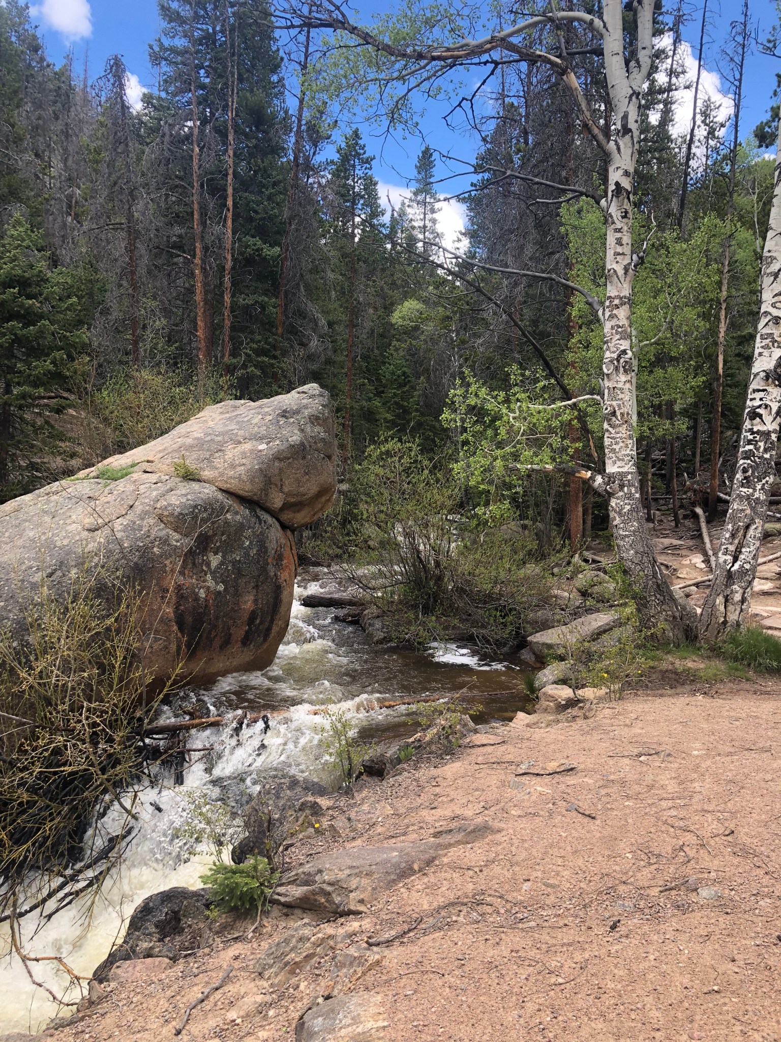 Hike up Old Fall River Road to Chasm Falls in Rocky Mountain National ...