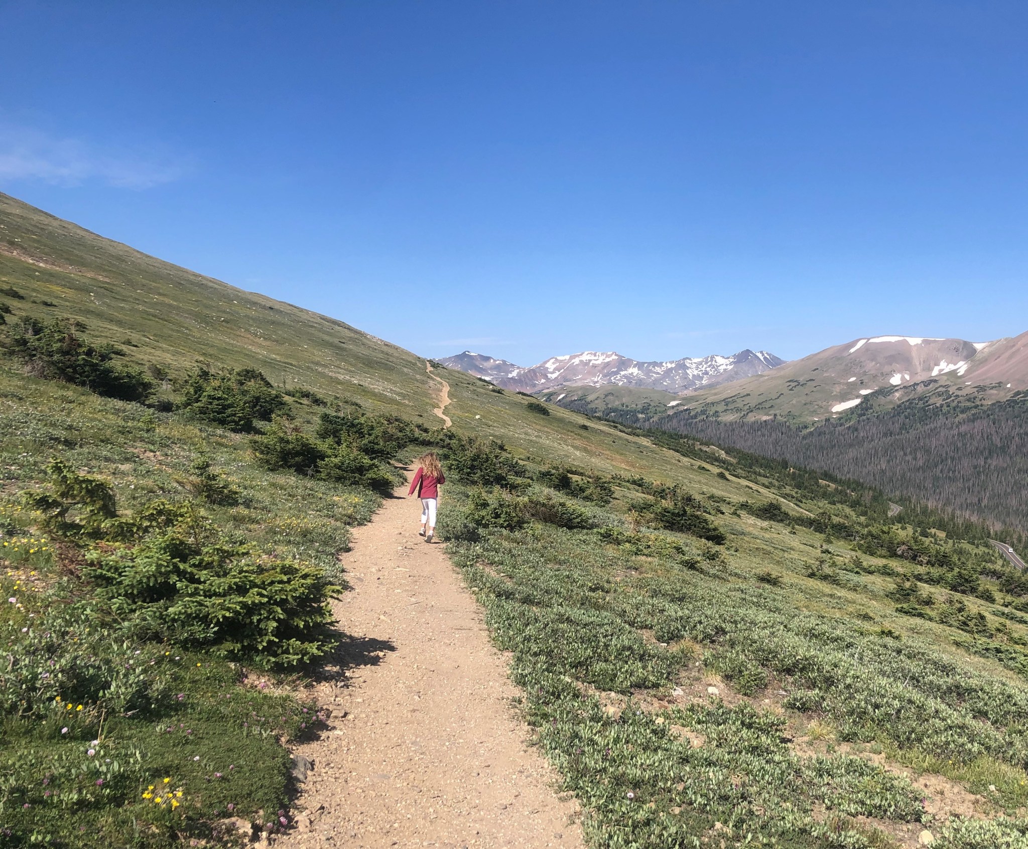 Ute Trail from Alpine Visitor Center in Rocky Mountain National Park ...