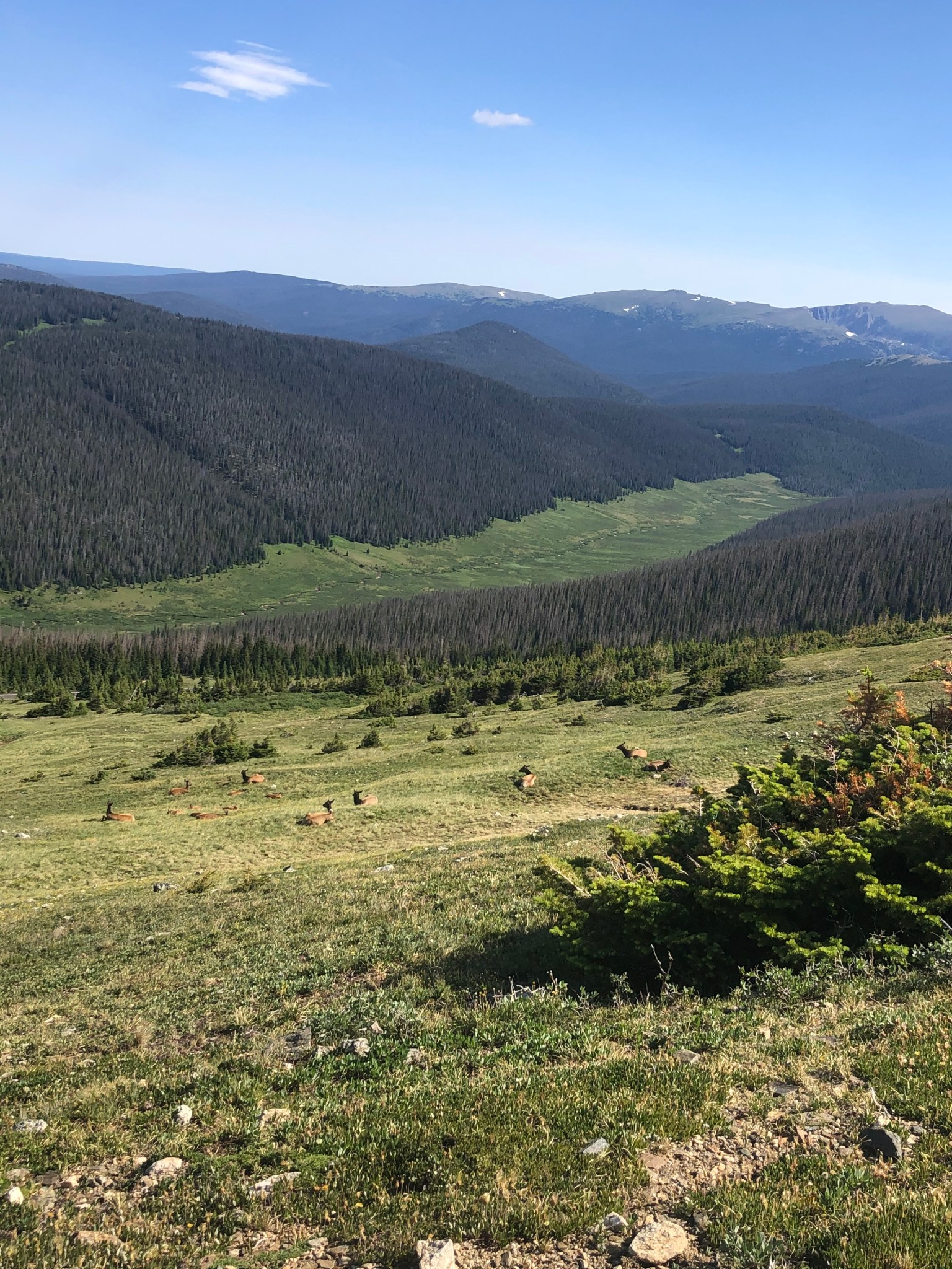 Ute Trail from Alpine Visitor Center in Rocky Mountain National Park ...