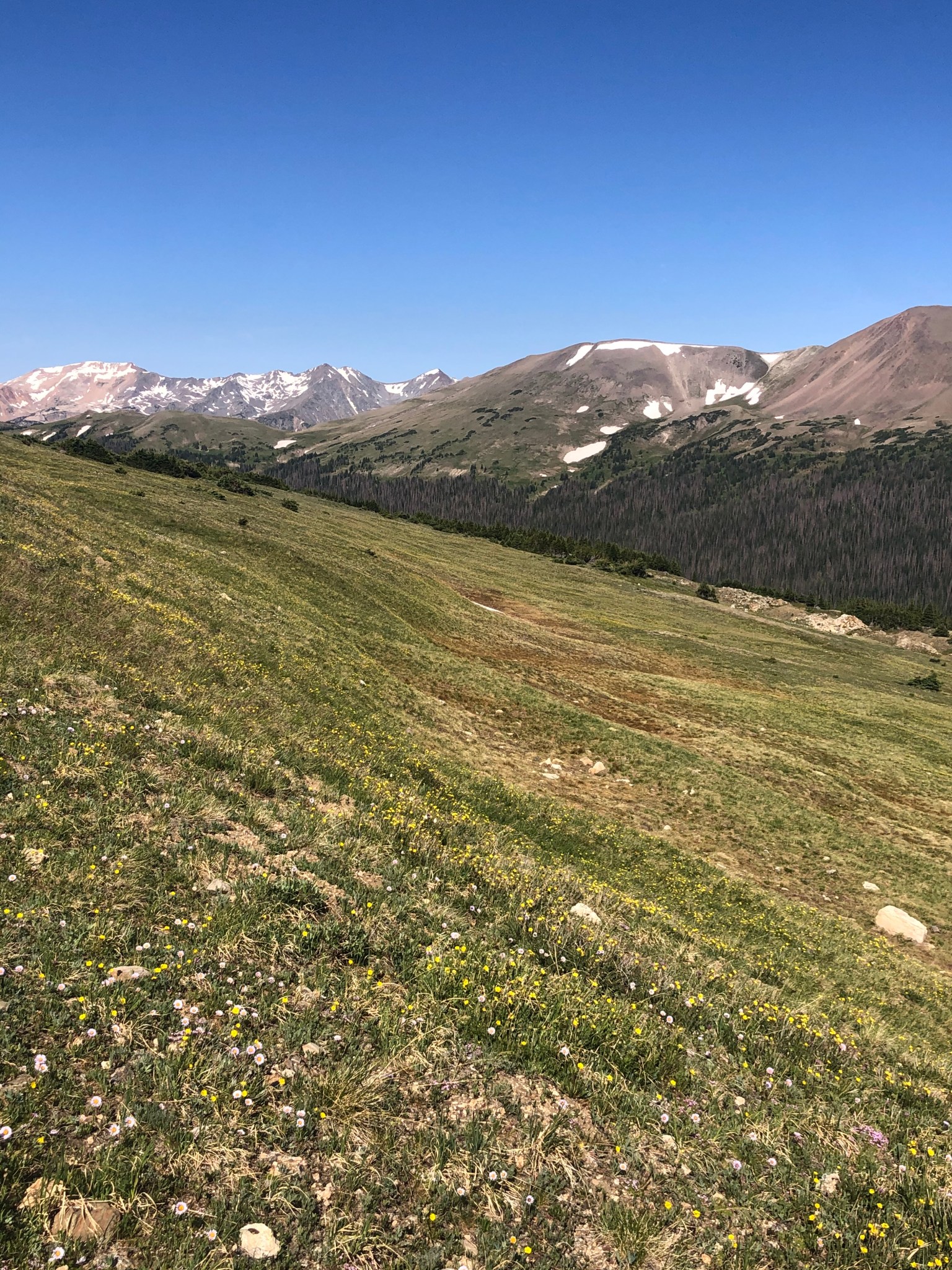 Ute Trail from Alpine Visitor Center in Rocky Mountain National Park ...