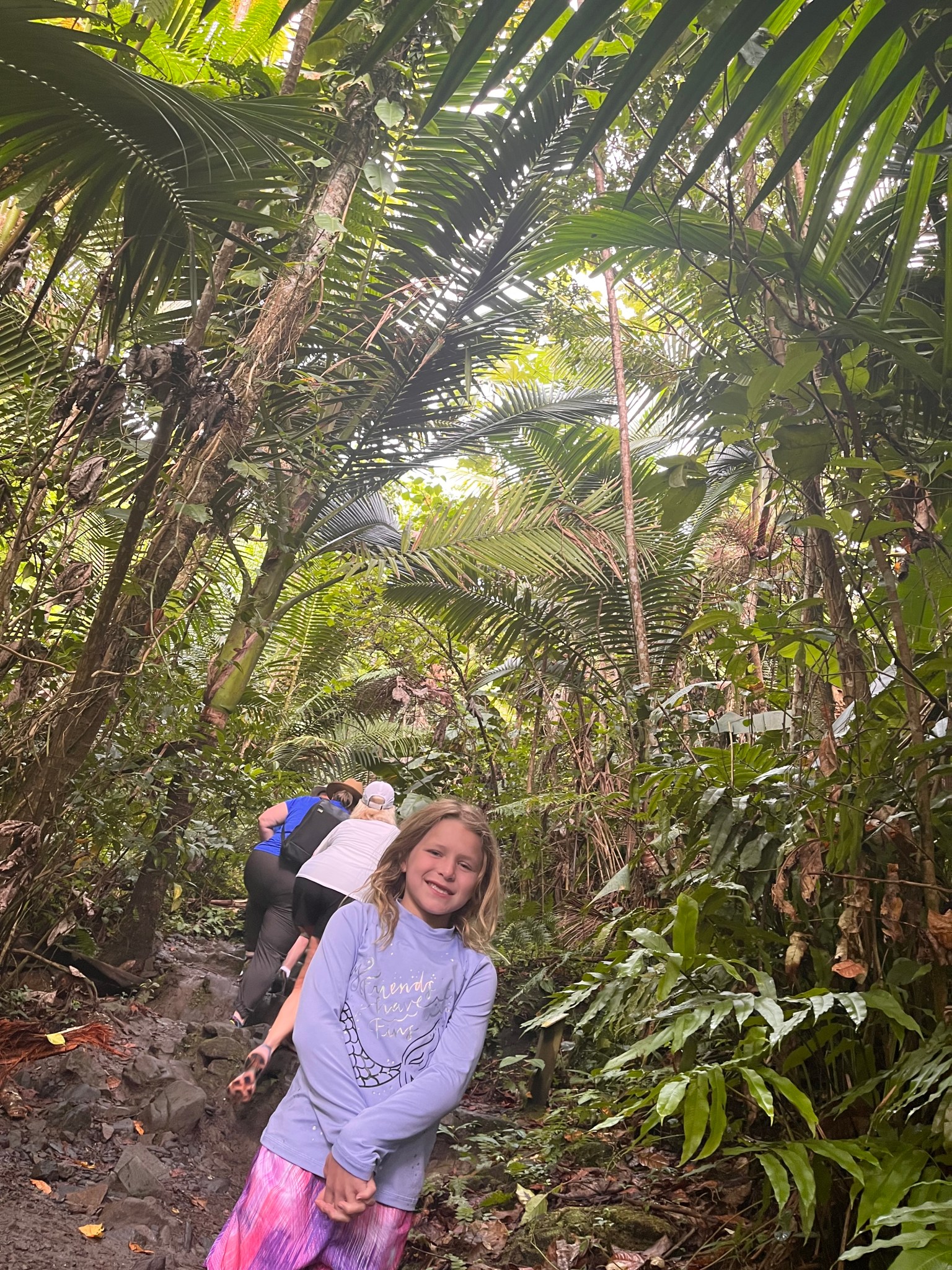 Amazing Rainforest Hike in Puerto Rico – rocky mountain tot